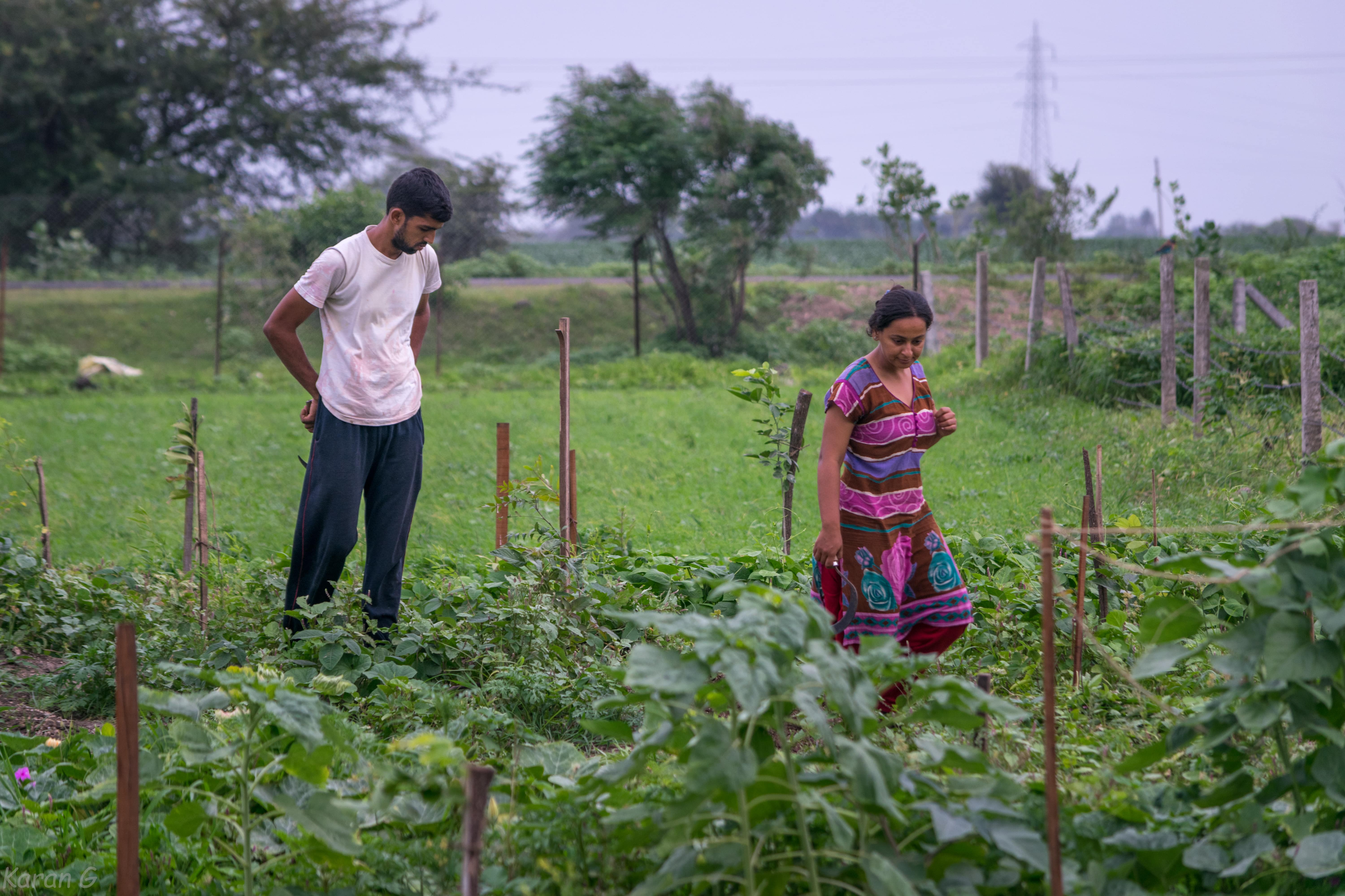 Visit – Jeevantika